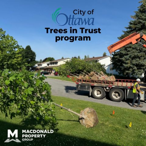 Ottawa’s Trees in Trust Program: A Green Initiative for Sustainable Living