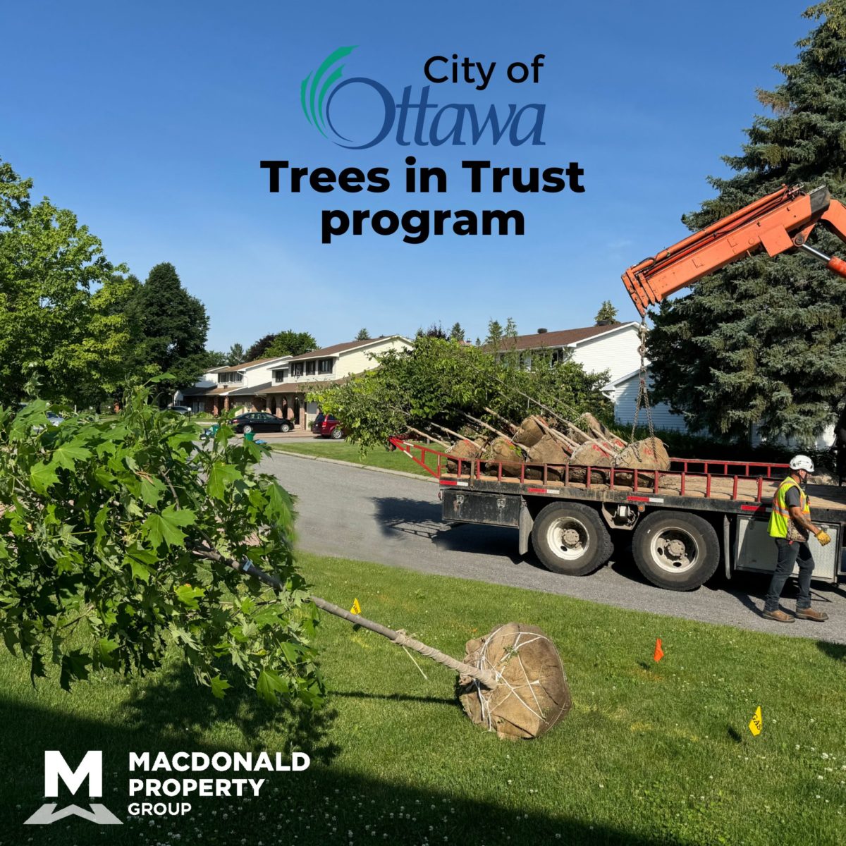 Ottawa’s Trees in Trust Program: A Green Initiative for Sustainable Living